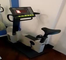 Cyclette Technogym Bike Race